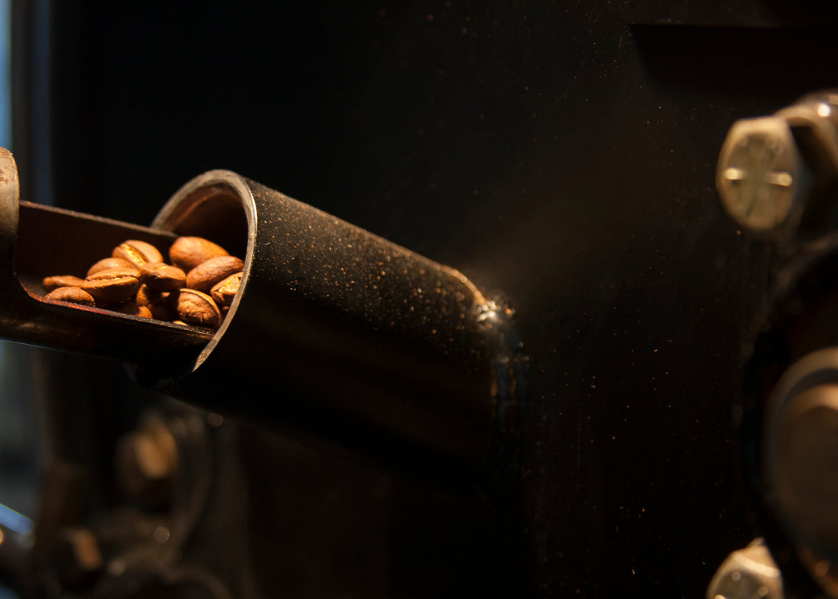 Locations – Adventure Coffee Roasting LLC